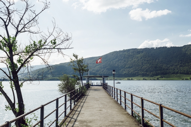 Promenade sur l'Île Saint-Pierre • L'Odeur du Café