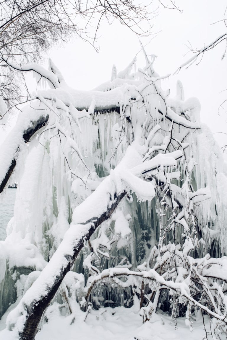 Déambulations photographiques: Le grand froid, chapitre 1 – L'Odeur du Café