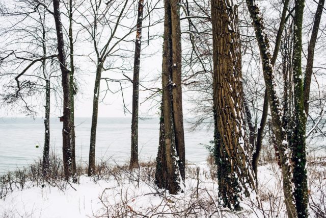 Déambulations photographiques: Le grand froid, chapitre 1 – L'Odeur du Café